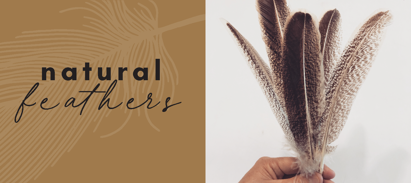 All Feathers – Feather.com.au