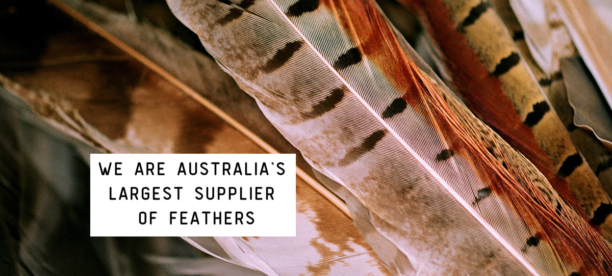 Australia’s largest supplier of Feathers & Craft Supplies – Feather.com.au