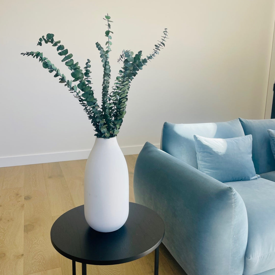 Australian Native Preserved Eucalyptus Spinning Gum - Green – Feather ...