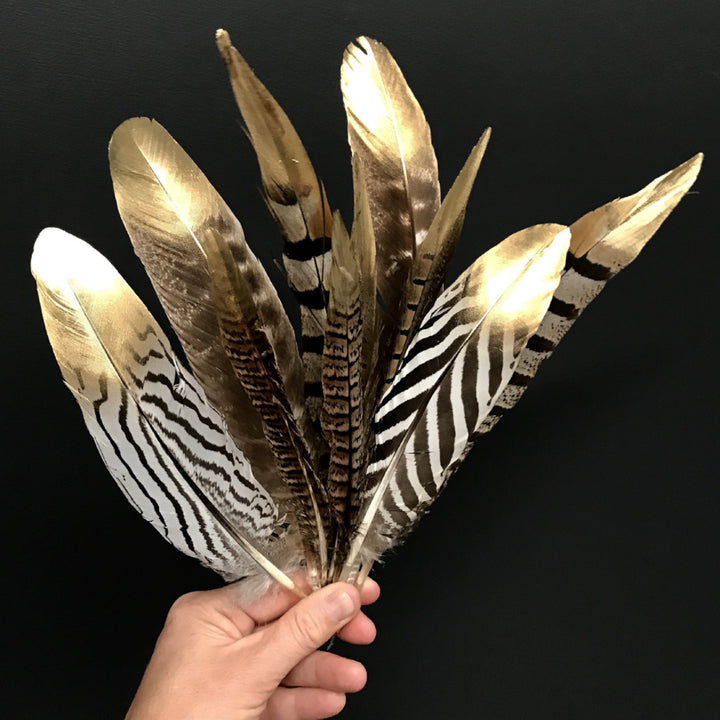 Natural Pheasant Feathers Assorted - Metallic Gold Tipped x 10 ...