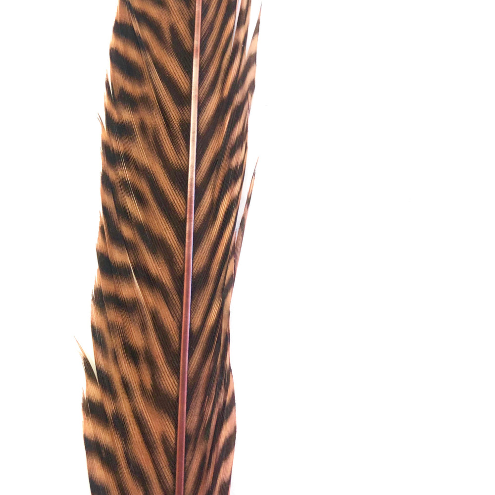 Item for Sale| Feather.com.au