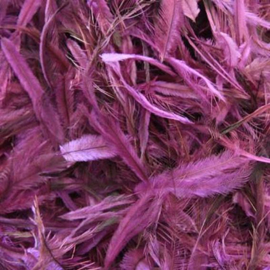 Emu Feathers | Shop Feathers Online at Wholesale Prices | Feather.com.au