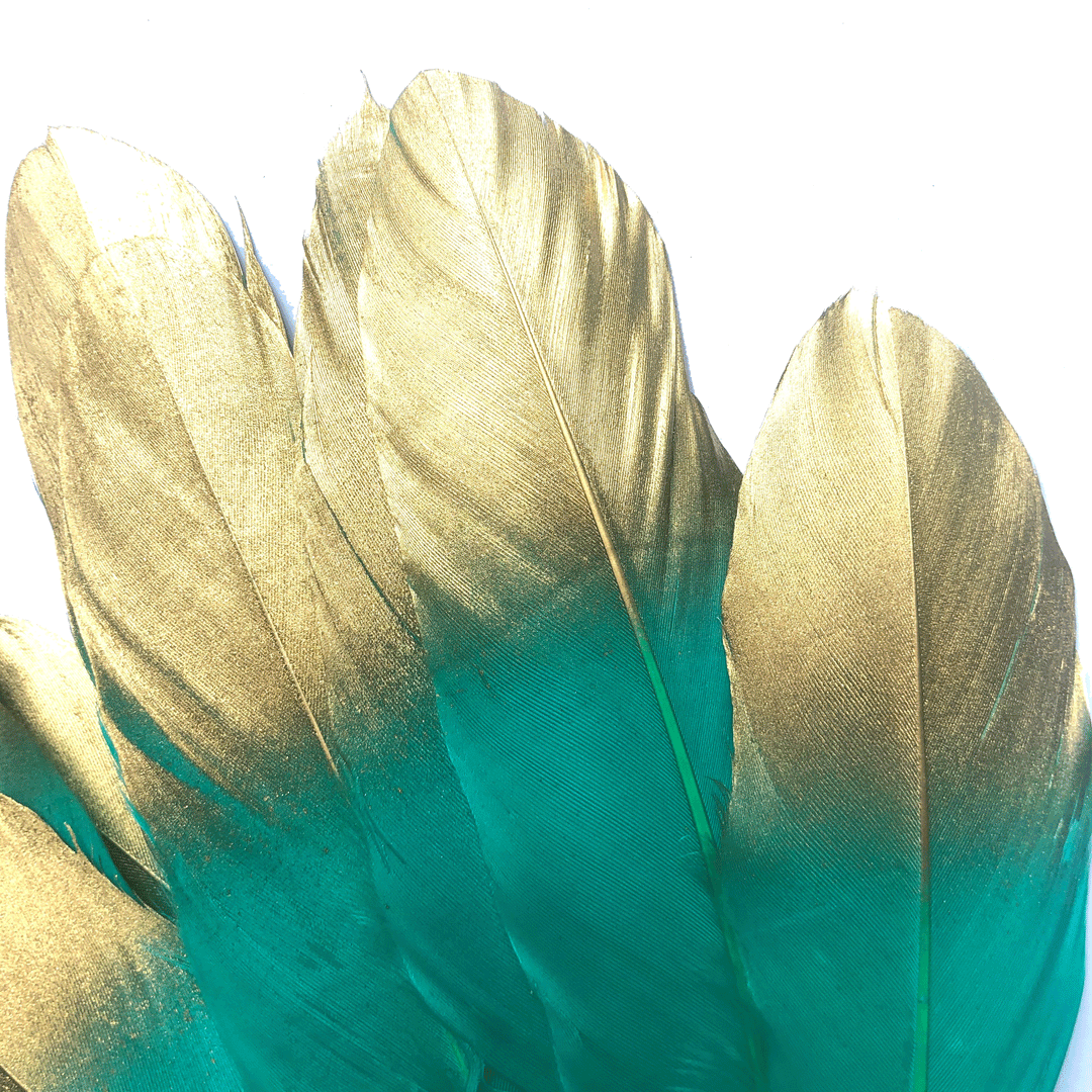 Goose Pointer Feather Gold Tipped x 10 pcs - Green - Style 21 – Feather ...