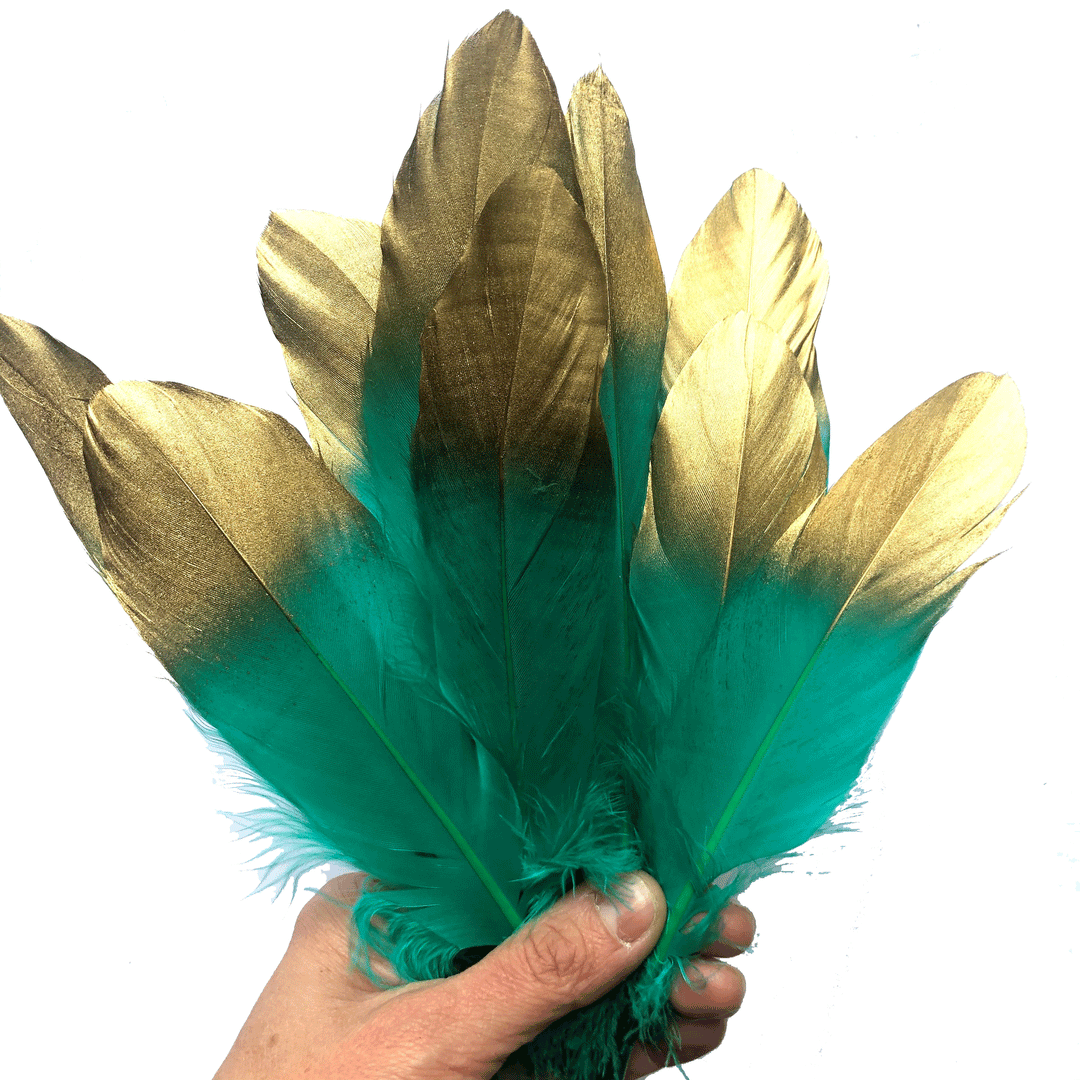 Goose Pointer Feather Gold Tipped x 10 pcs - Green - Style 21 – Feather ...