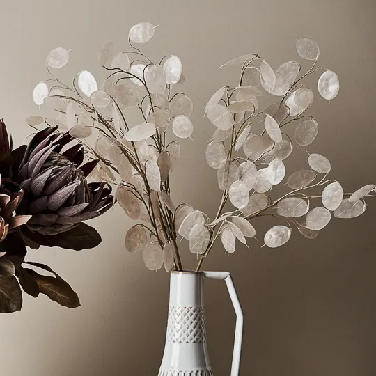 Artificial Lunaria Moonwort Honesty Branch Spray - Ivory – Feather.com.au