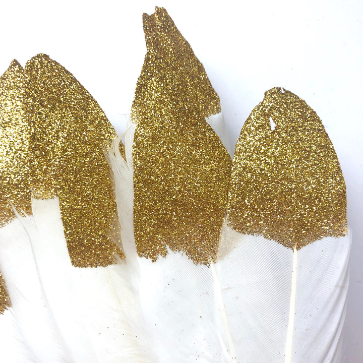 Goose Pointer Feather Gold Glitter Tipped x 10 pcs - White - Style 27 ...