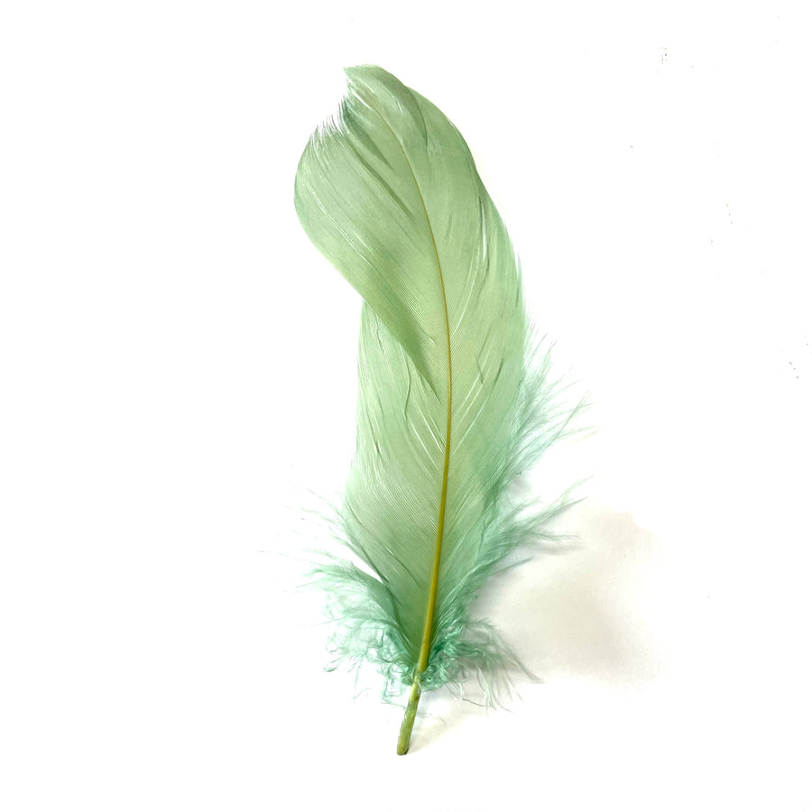 Goose Nagoire Feathers 10 grams - Sage – Feather.com.au