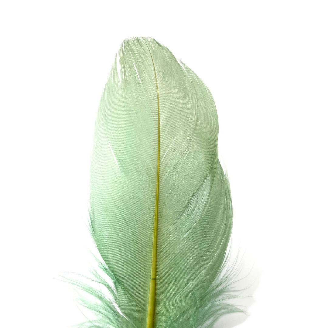 Goose Nagoire Feathers 10 grams - Sage – Feather.com.au