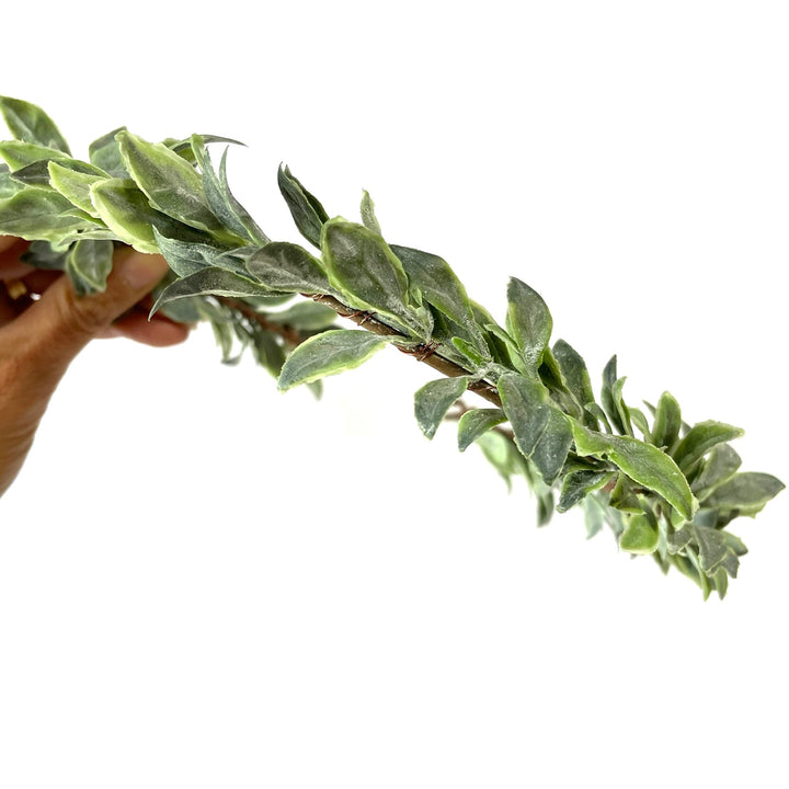 Leaf Greenery Crown Base Stem - Green (Style 4) – Feather.com.au