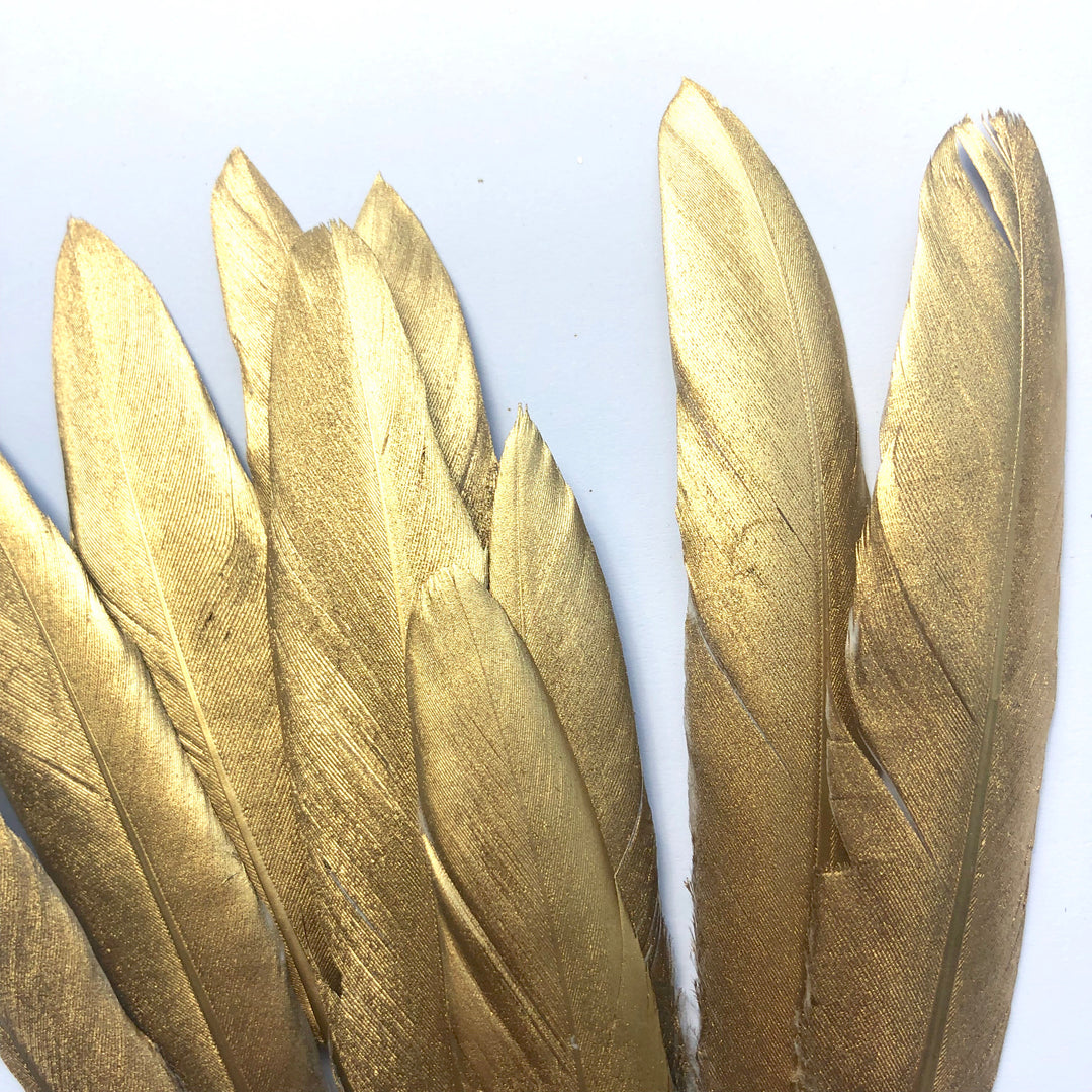 Tiny Goose Pointer Feather Solid Metallic Gold x 10 pcs - Style 30 ...