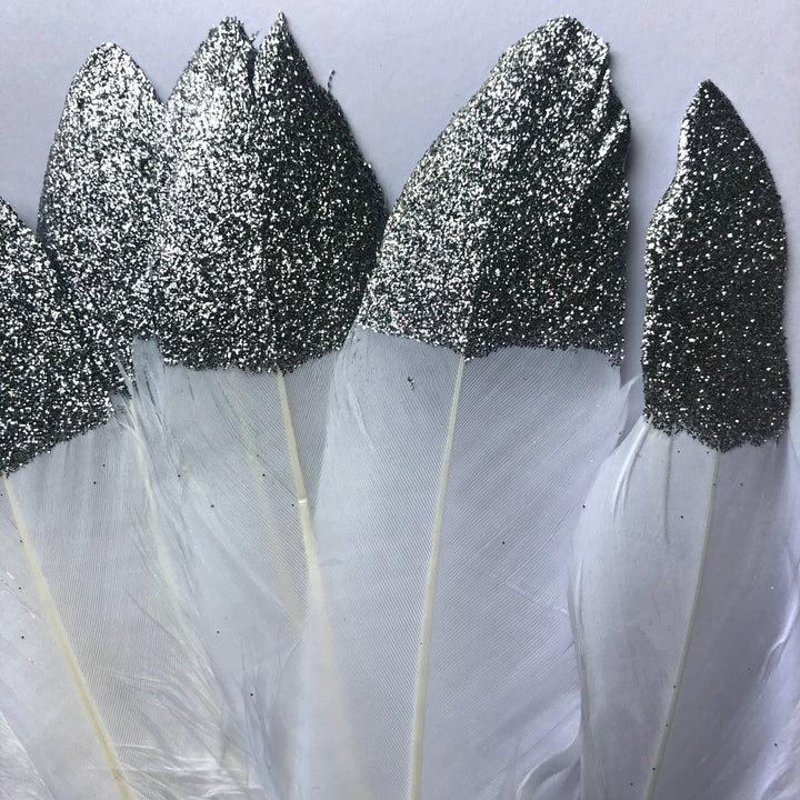Goose Pointer Feather Glitter Tipped x 10 pcs - White with Silver - St ...