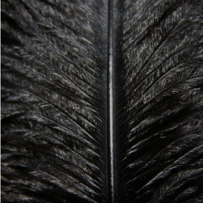 Feather Supplies – Feather.com.au