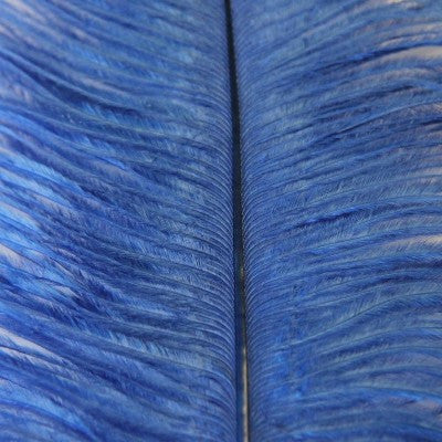 Feather Supplies – Feather.com.au