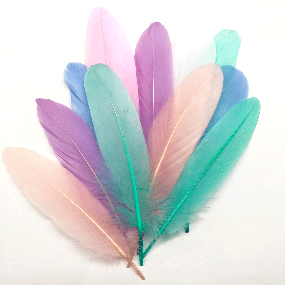 Goose Pointer Feathers 50 pcs - Pastel Assorted – Feather.com.au