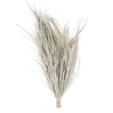 Ostrich Pincher – Feather.com.au