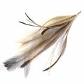Emu Feather Pincher - Natural – Feather.com.au