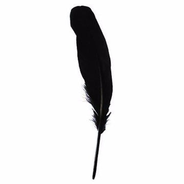 Goose Pointer Feathers 10 grams - Black – Feather.com.au