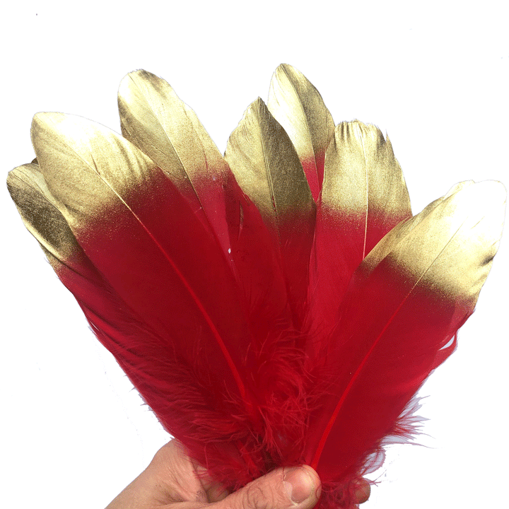 Goose Pointer Feather Gold Tipped x 10 pcs - Red - Style 23 – Feather ...