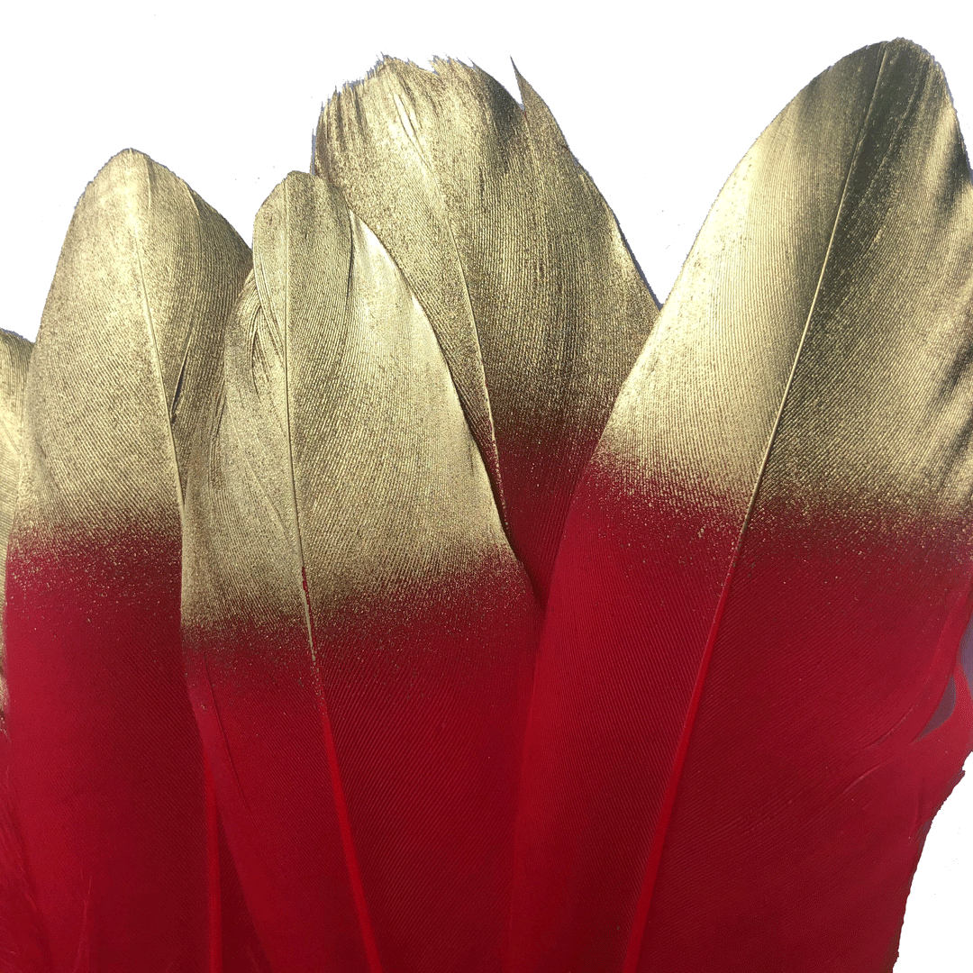 Goose Pointer Feather Gold Tipped x 10 pcs - Red - Style 23 – Feather ...