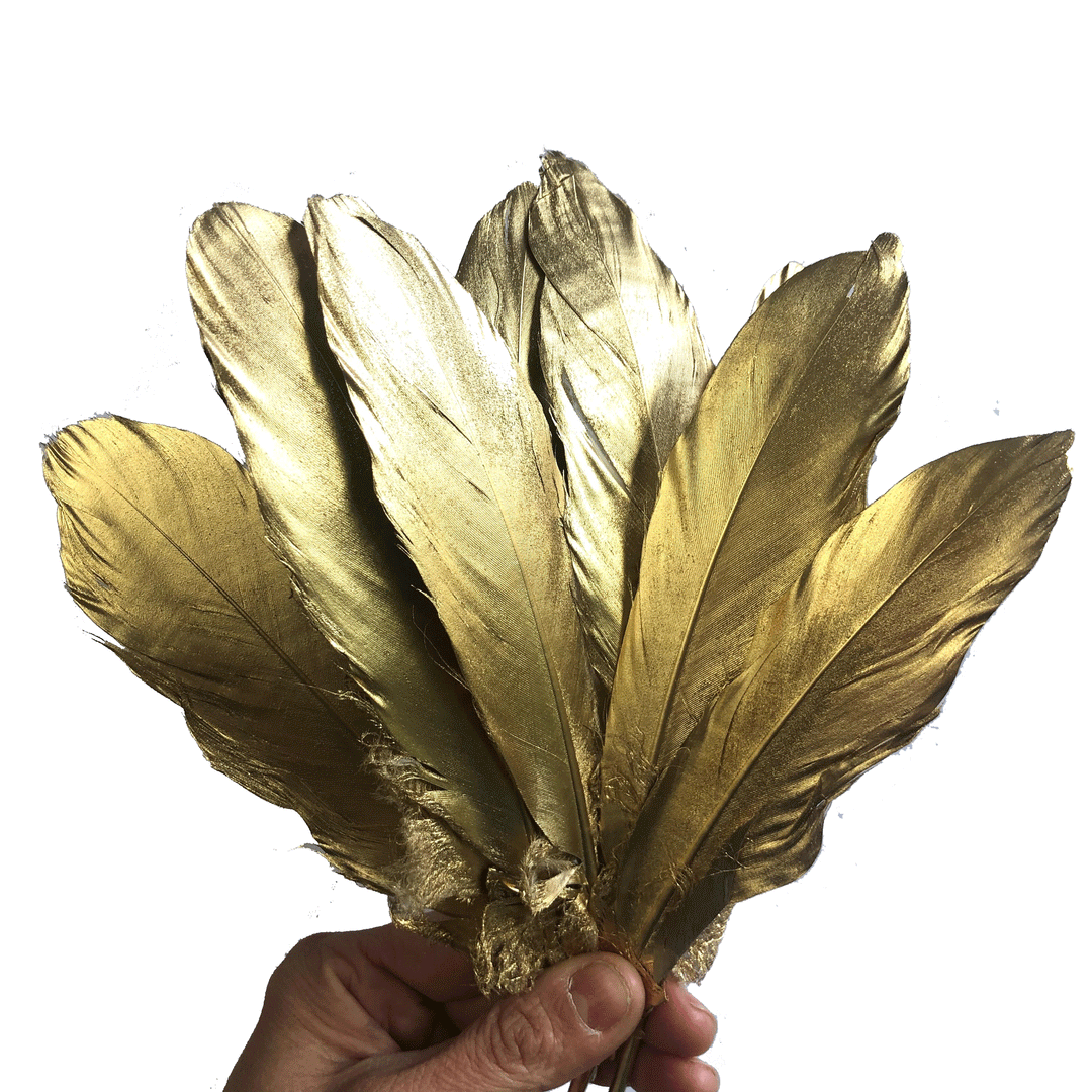 Goose Pointer Feather Solid Metallic Gold x 10 pcs - Style 29 – Feather ...