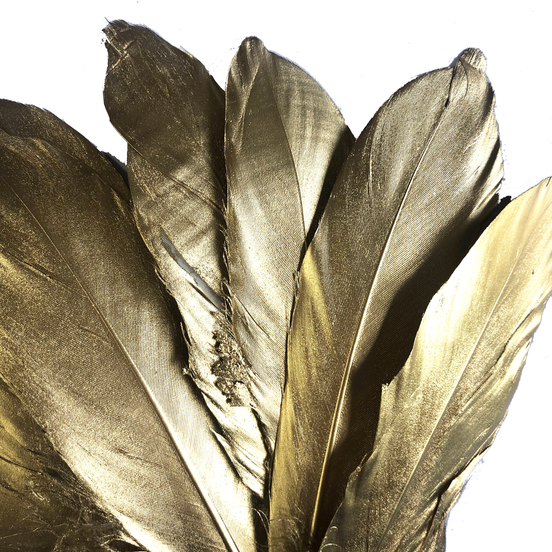 Goose Pointer Feather Solid Metallic Gold x 10 pcs - Style 29 – Feather ...