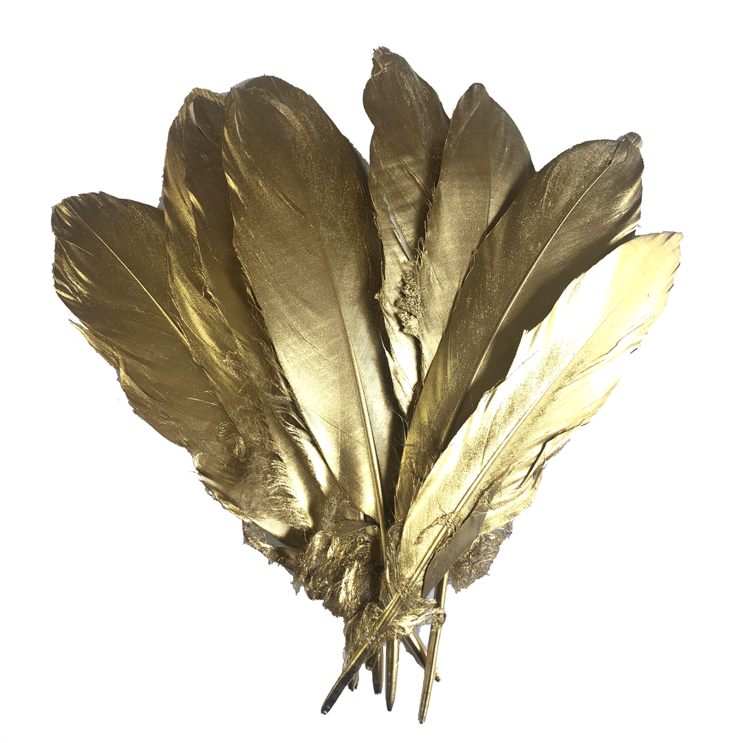 Goose Pointer Feather Solid Metallic Gold x 10 pcs - Style 29 – Feather ...