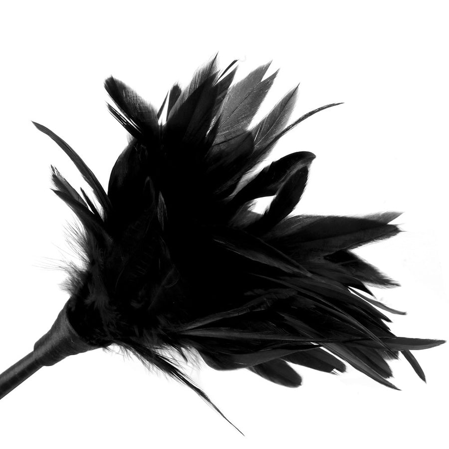 Black Erotic Duster Hot Tease Feather Tickler – Feather.com.au