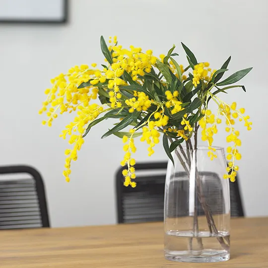 Australian Native Mimosa Wattle Blossom Flower Spray - Yellow – Feather ...