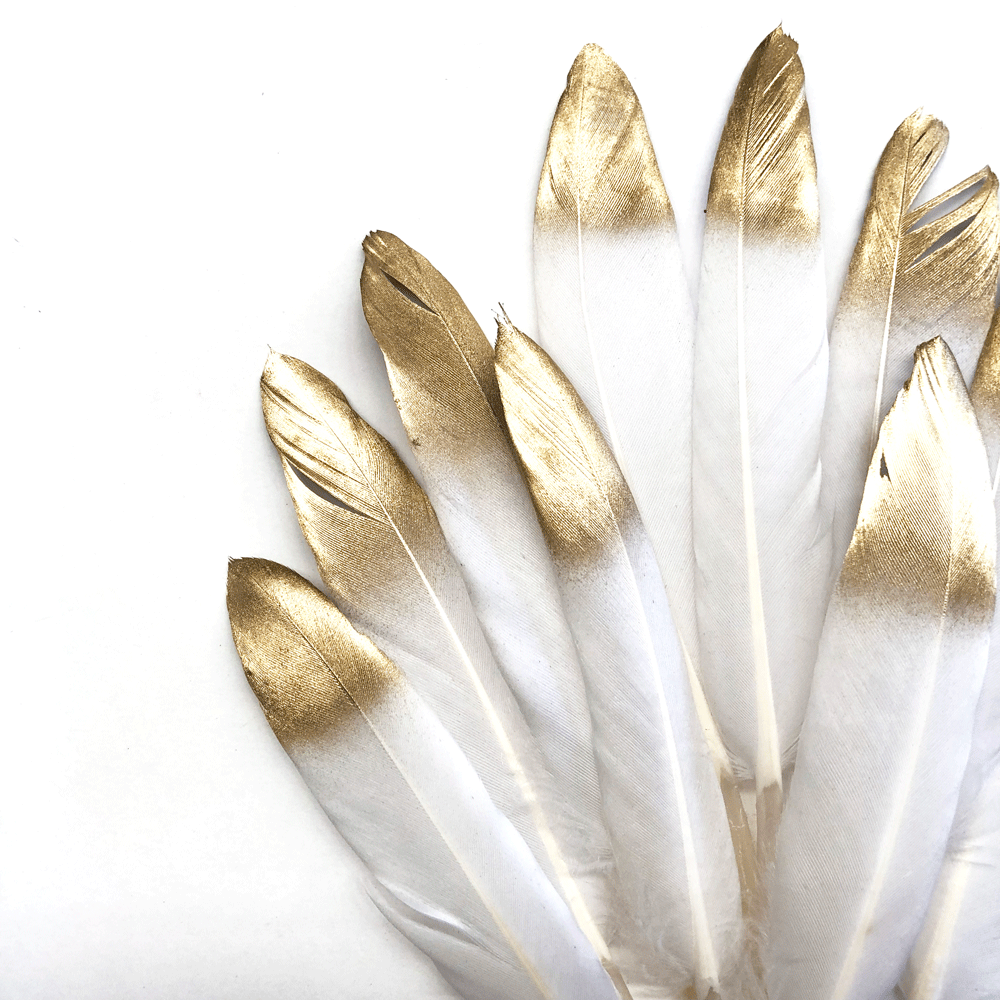 Tiny Goose Pointer Feather White Metallic Gold Tipped x 10 pcs - Style ...